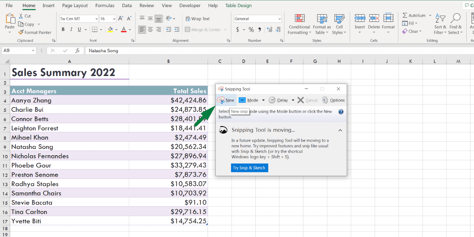 How to screenshot on Excel | Analytics Empire
