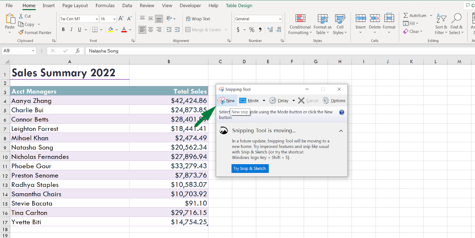 How to screenshot on Excel | Analytics Empire